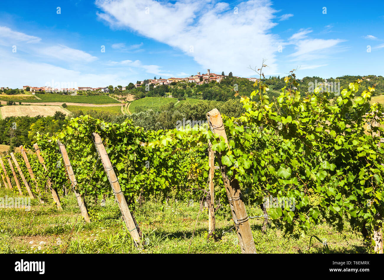 Langhe hi-res stock photography and images - Alamy