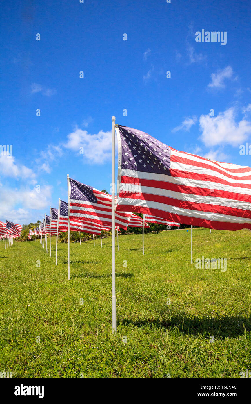 Patriotic display of multiple large American flags Stock Photo - Alamy