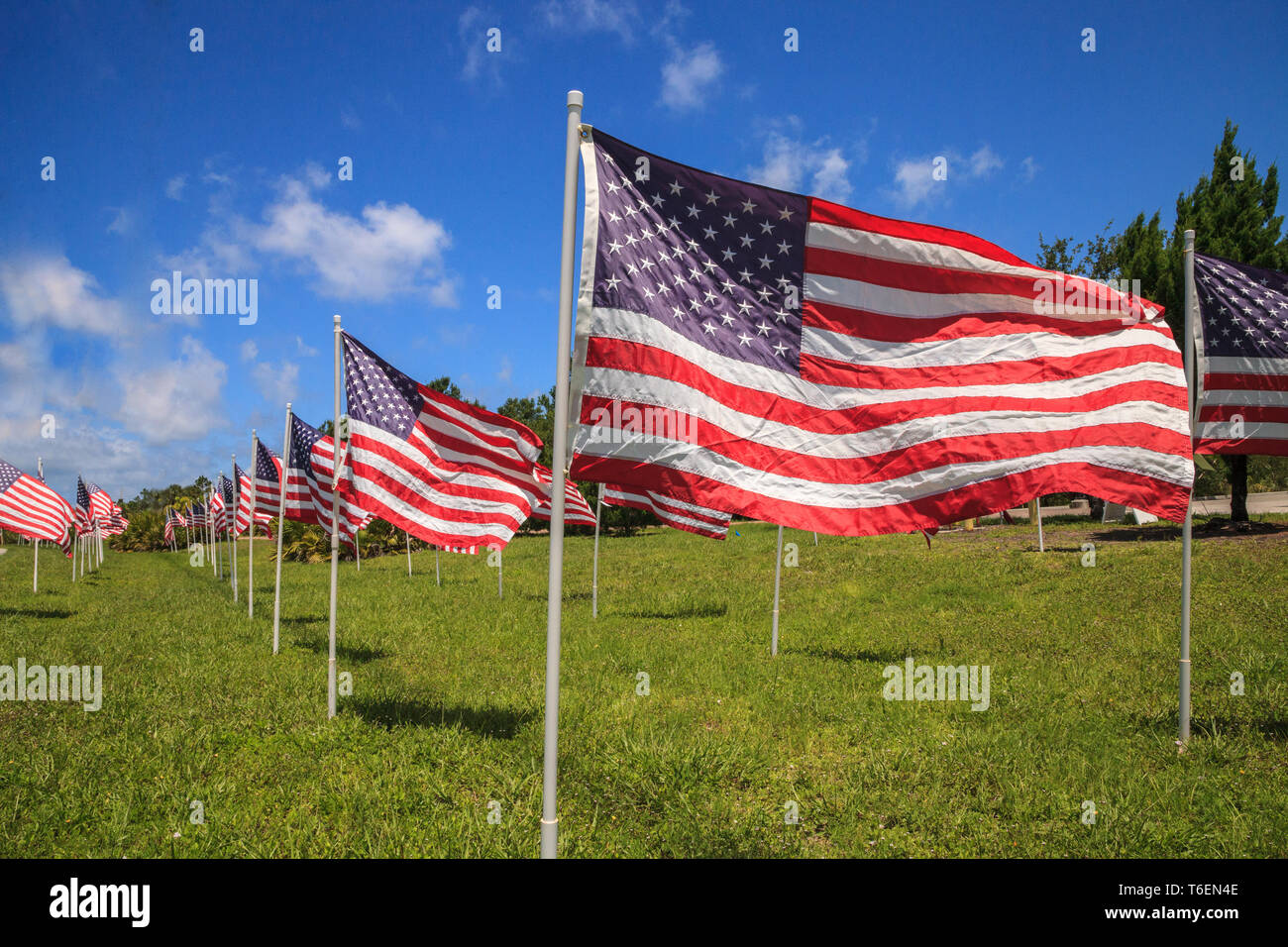 Patriotic display hi-res stock photography and images - Alamy