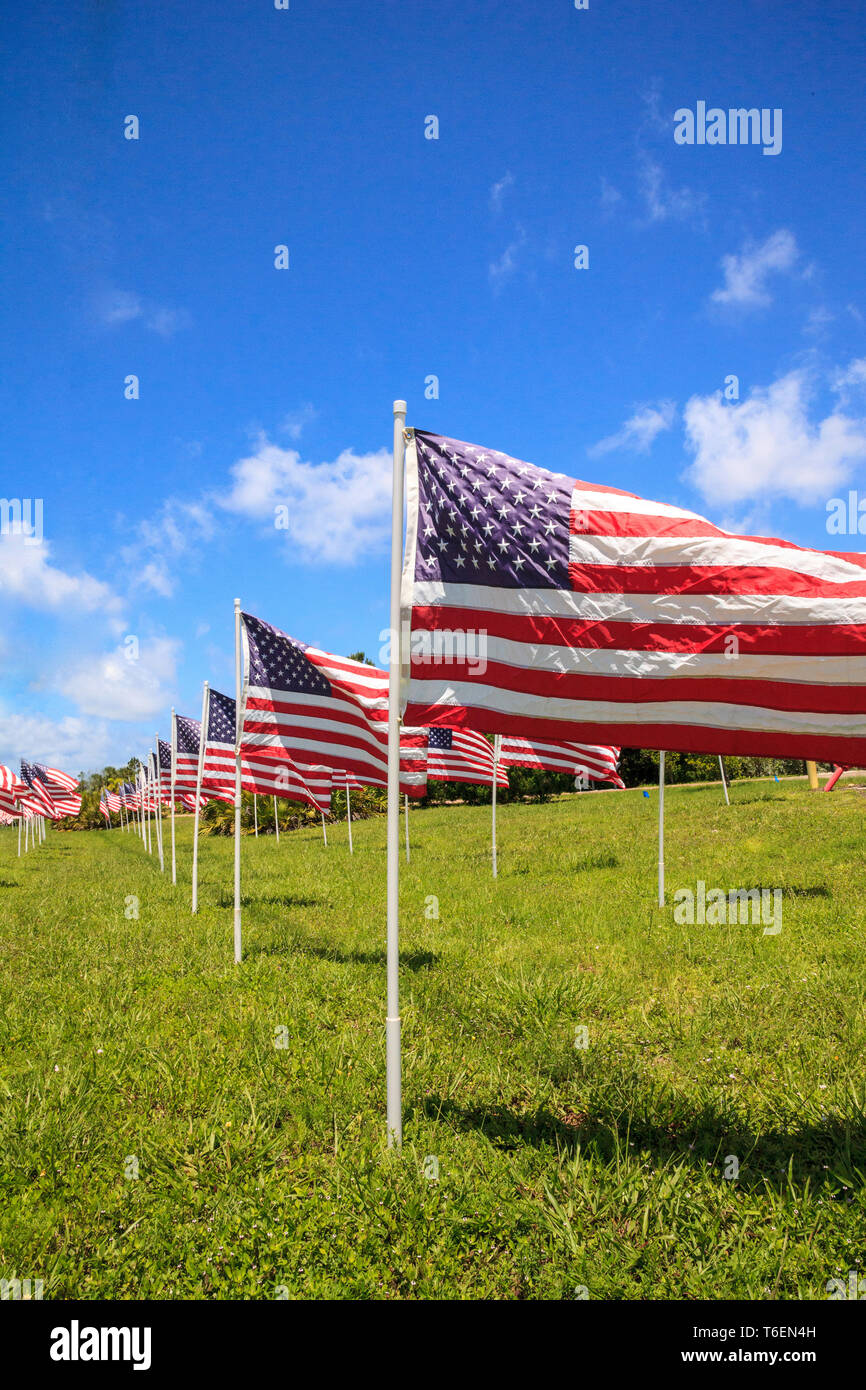 Patriotic display of multiple large American flags Stock Photo - Alamy