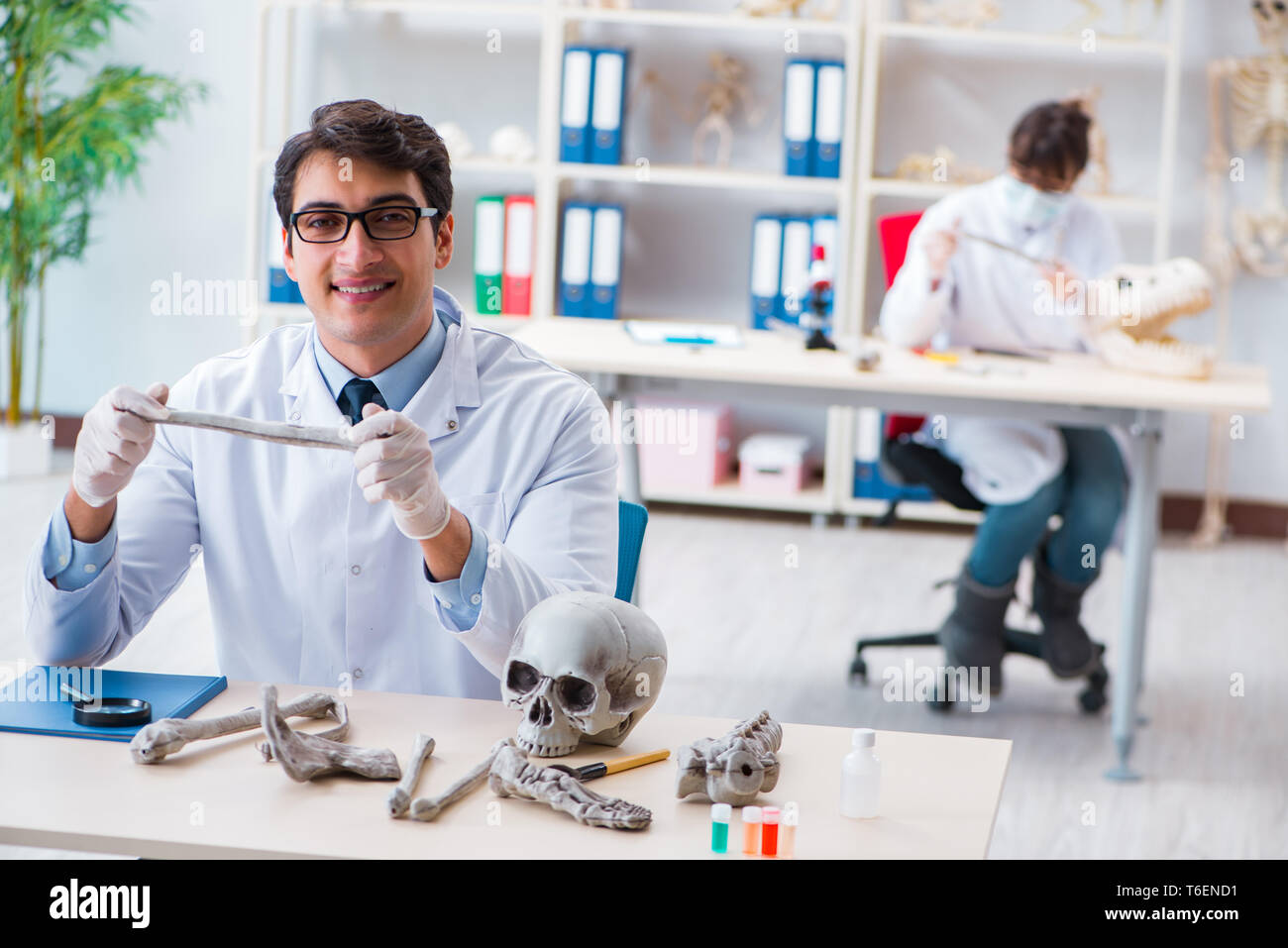 Professor studying human skeleton in lab Stock Photo - Alamy