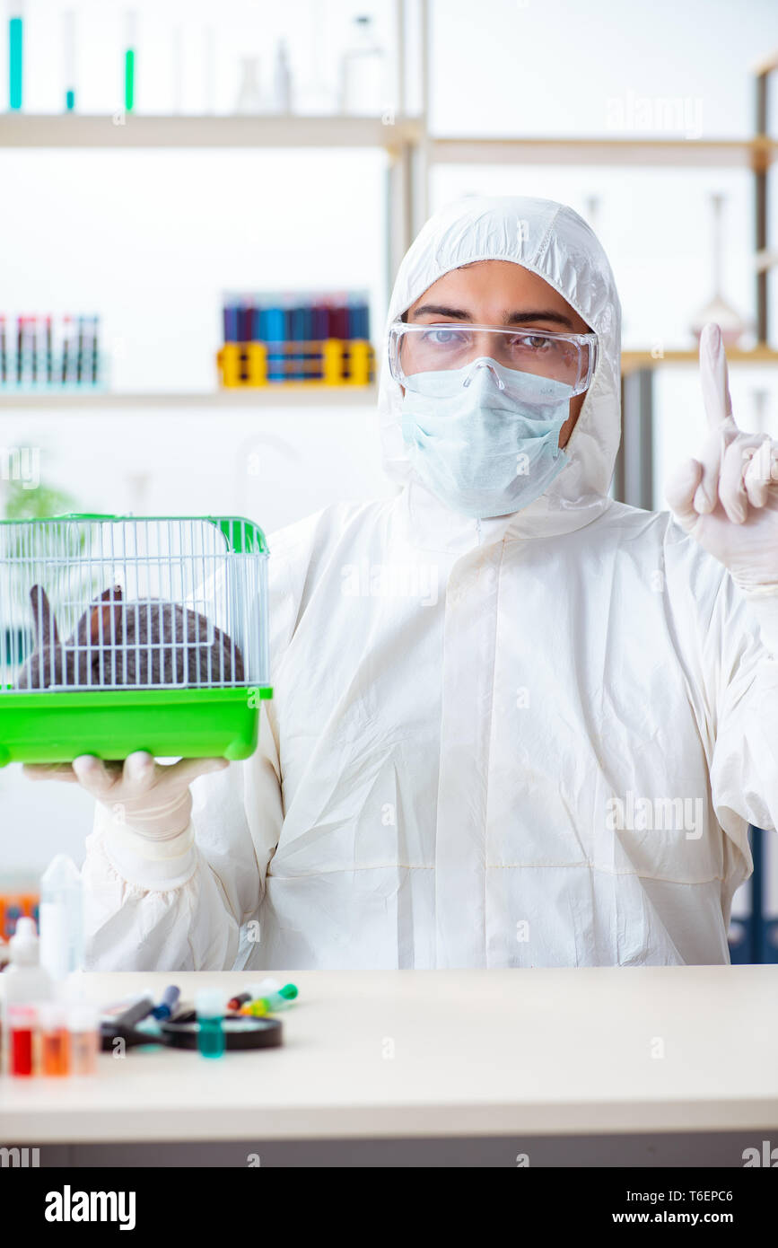 Scientist experimenting on animals hi-res stock photography and images ...