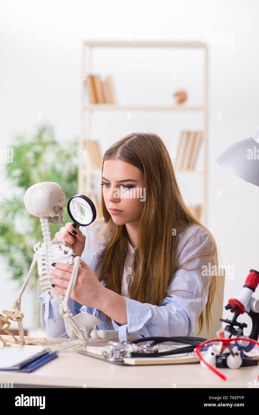 Human skeleton in classroom hi-res stock photography and images - Alamy