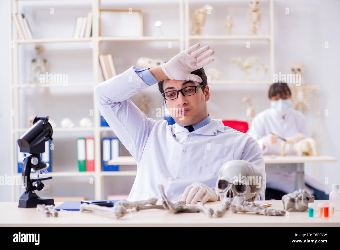 Professor studying human skeleton in lab Stock Photo - Alamy