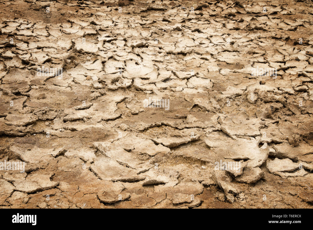 cracked dry sandy earth Stock Photo - Alamy