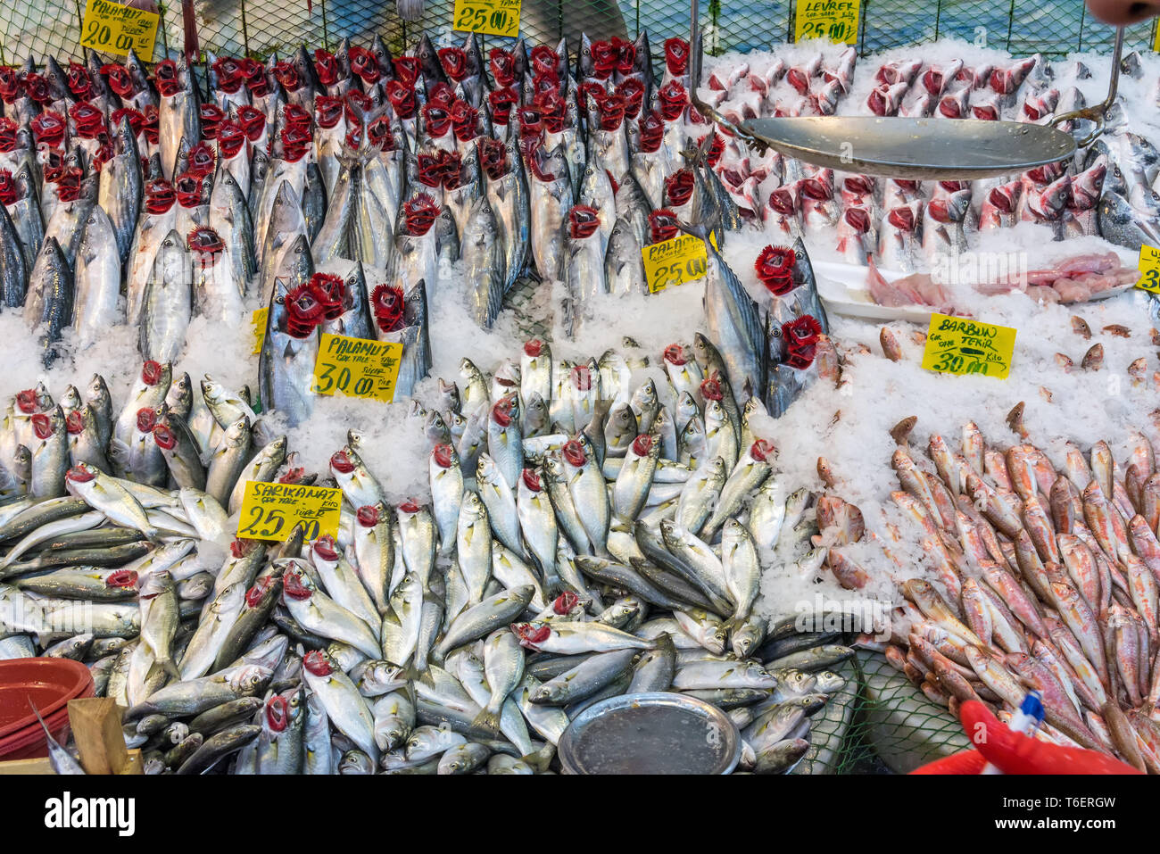 Fresh seafood in istanbul hi-res stock photography and images - Alamy