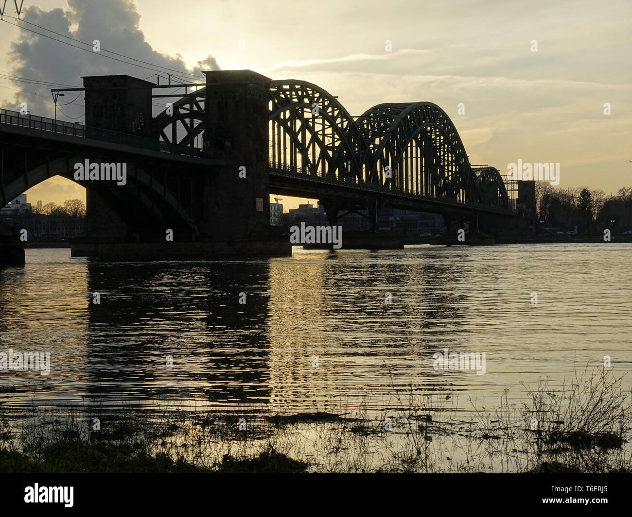 View from Poll meadows on south bridge at Rhine flood Stock Photo - Alamy