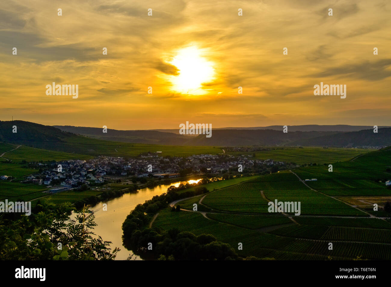 Leiwen village on the Moselle Stock Photo - Alamy