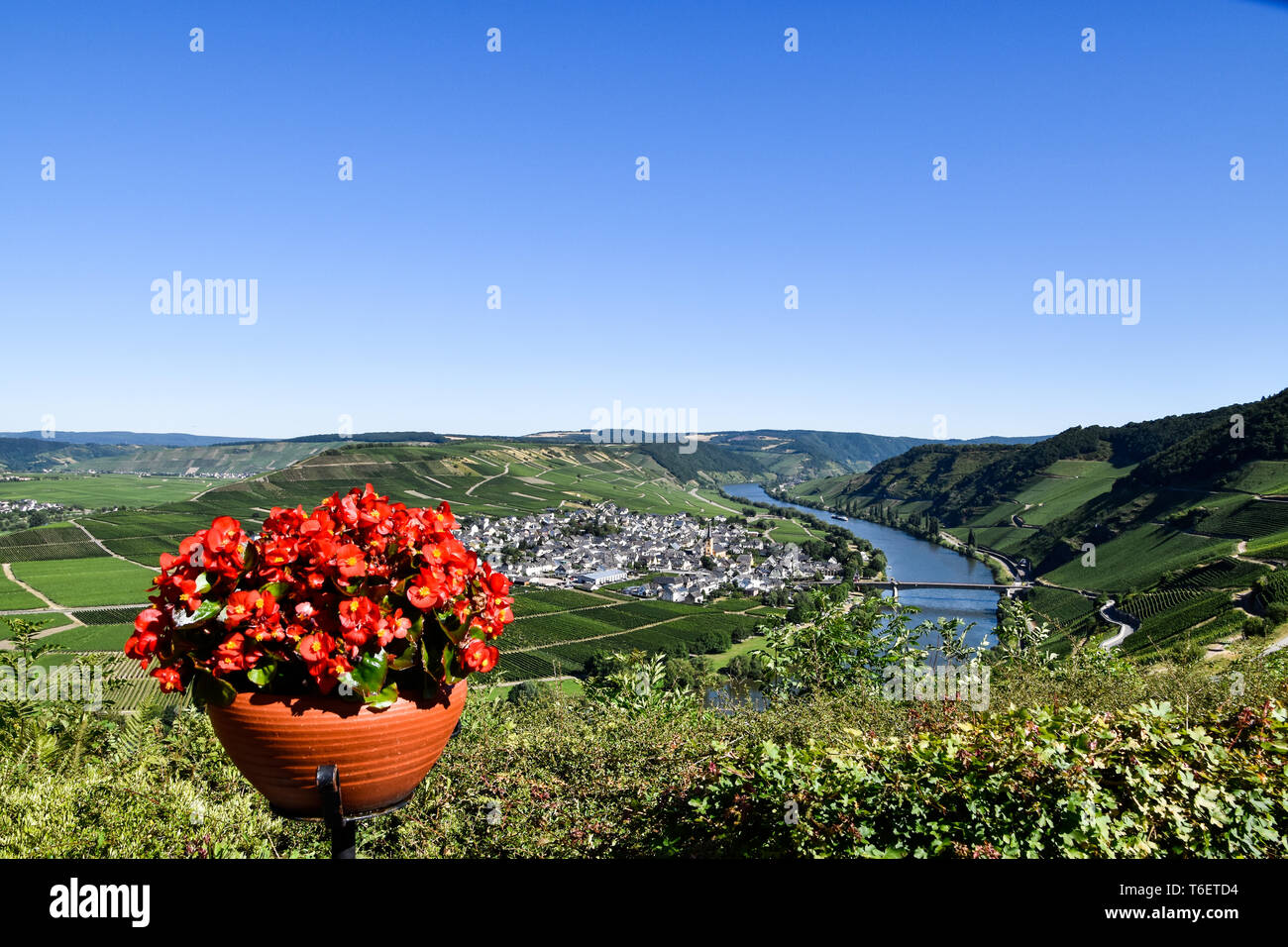 Leiwen village on the Moselle Stock Photo - Alamy