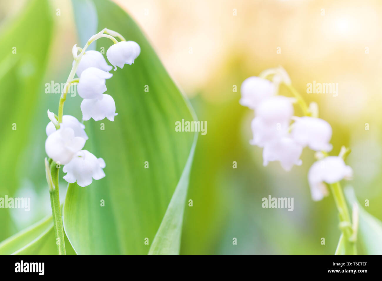 White valley hi-res stock photography and images - Alamy