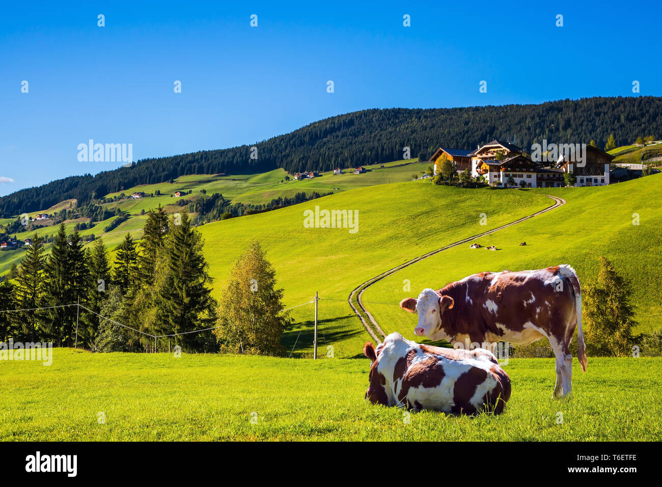 Hillside grass hi-res stock photography and images - Alamy