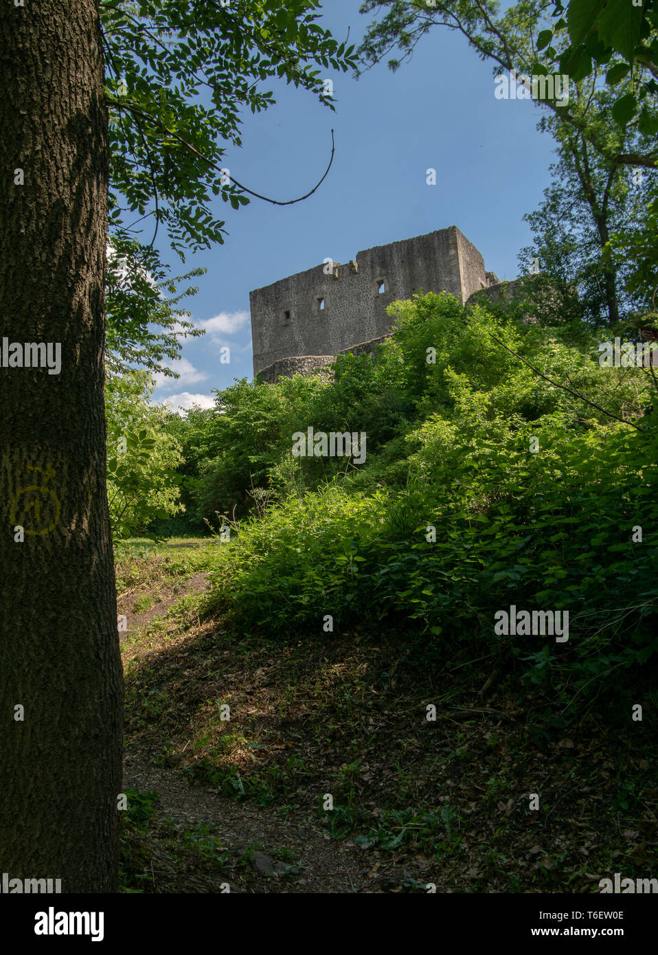 Entry to the ruin of castle Weidelsburg Stock Photo - Alamy