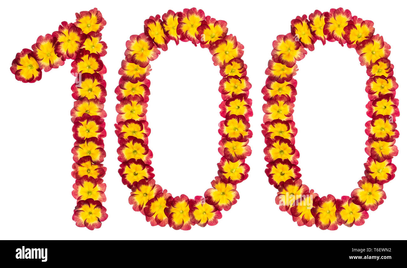 Numeral 100, one hundred, from natural flowers of primula, isolated on ...