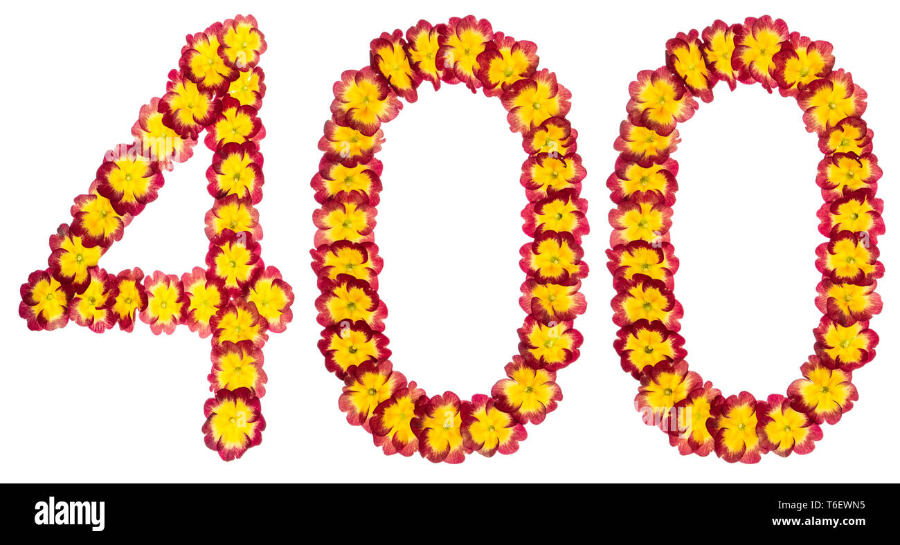 Numeral 400, four hundred, from natural flowers of primula, isolated on ...