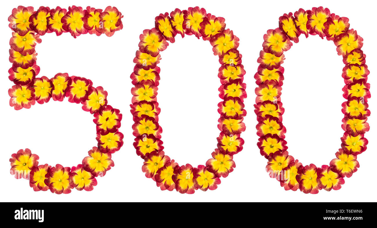 Numeral 500, five hundred, from natural flowers of primula, isolated on ...