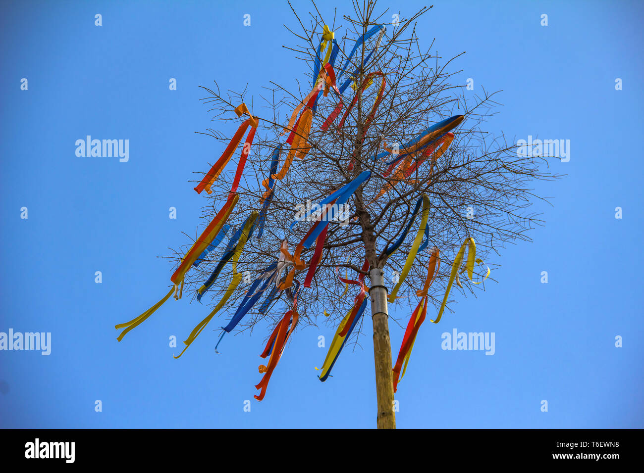 A traditional Maypole with colored ribbons on blue background Stock ...