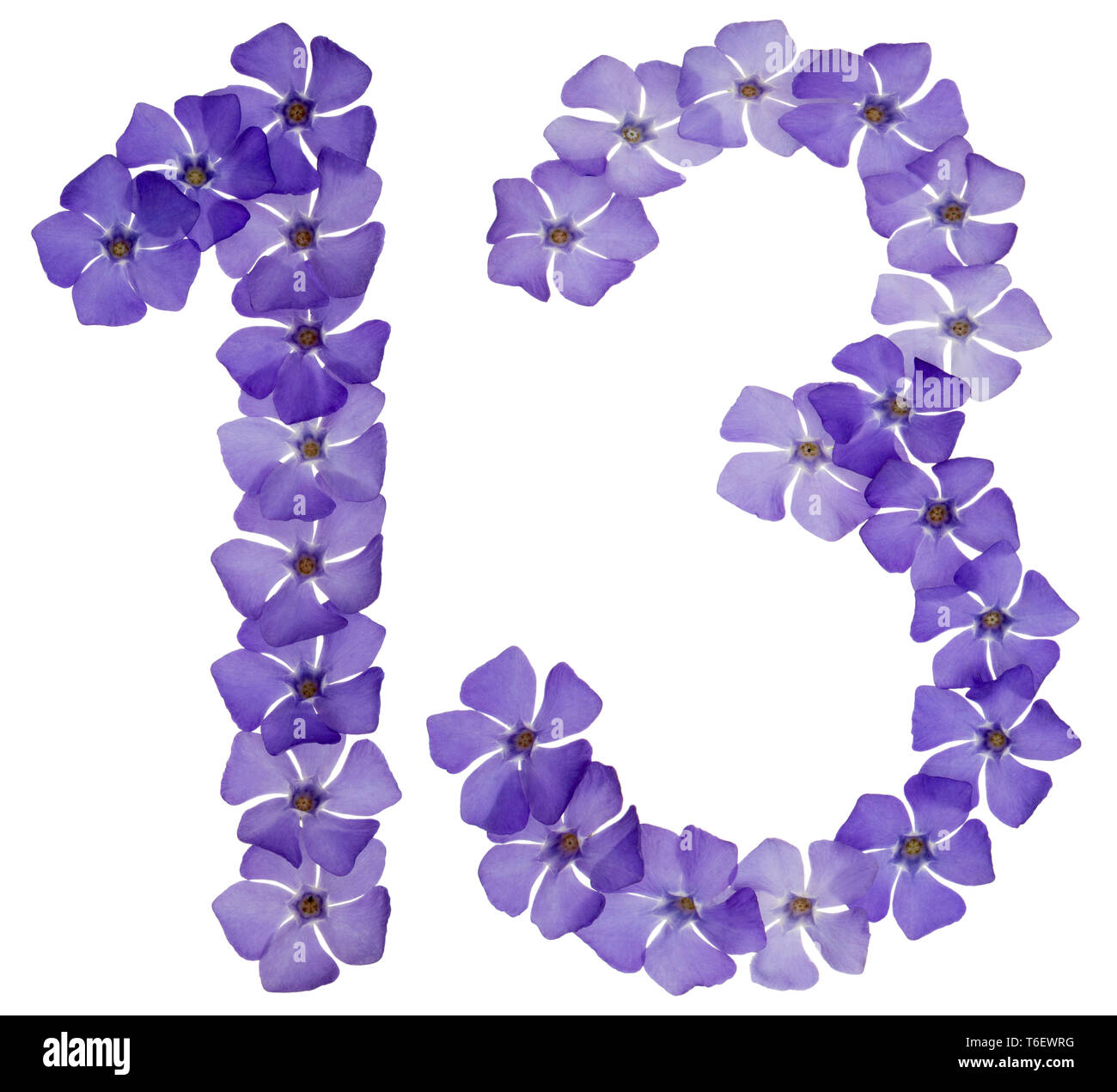 Numeral 13, thirteen, from natural blue flowers of periwinkle, isolated ...