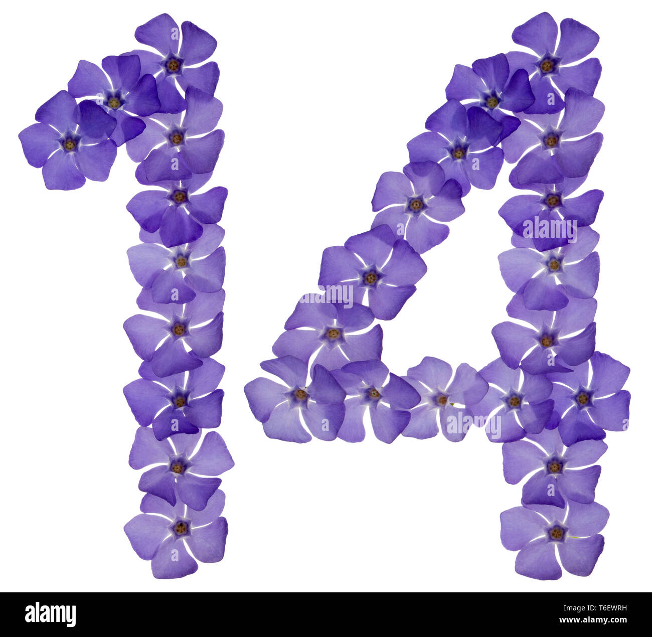 Numeral 14, fourteen, from natural blue flowers of periwinkle, isolated ...