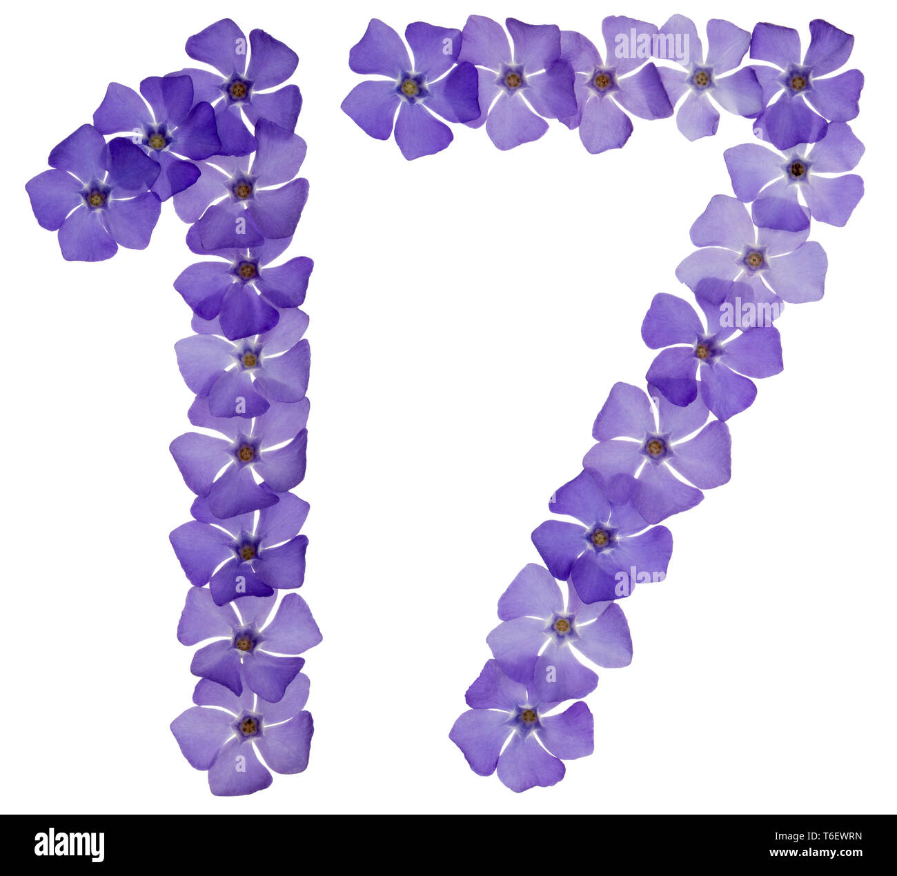 Numeral 17, seventeen, from natural blue flowers of periwinkle ...