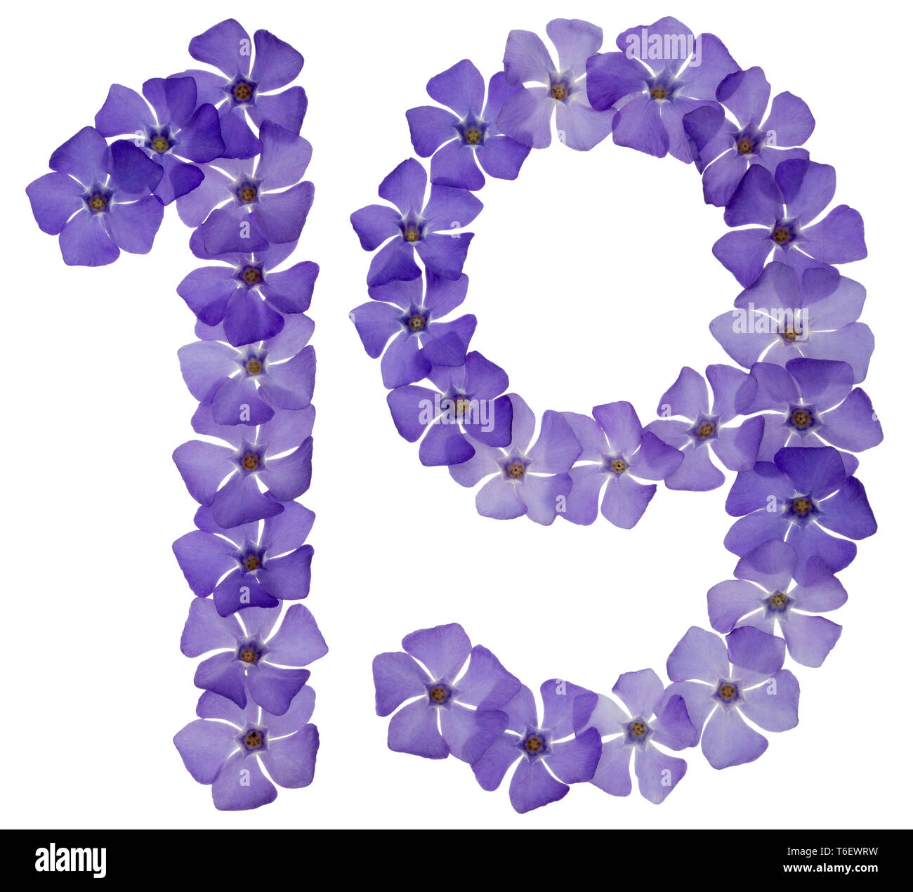Numeral 19, nineteen, from natural blue flowers of periwinkle, isolated ...