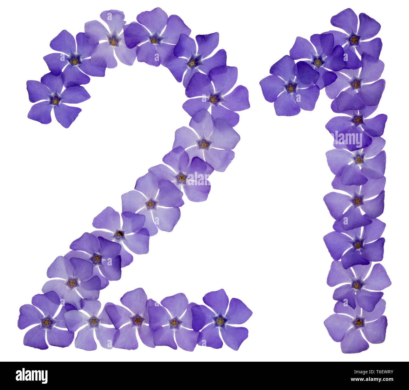 Numeral 21, twenty one, from natural blue flowers of periwinkle ...