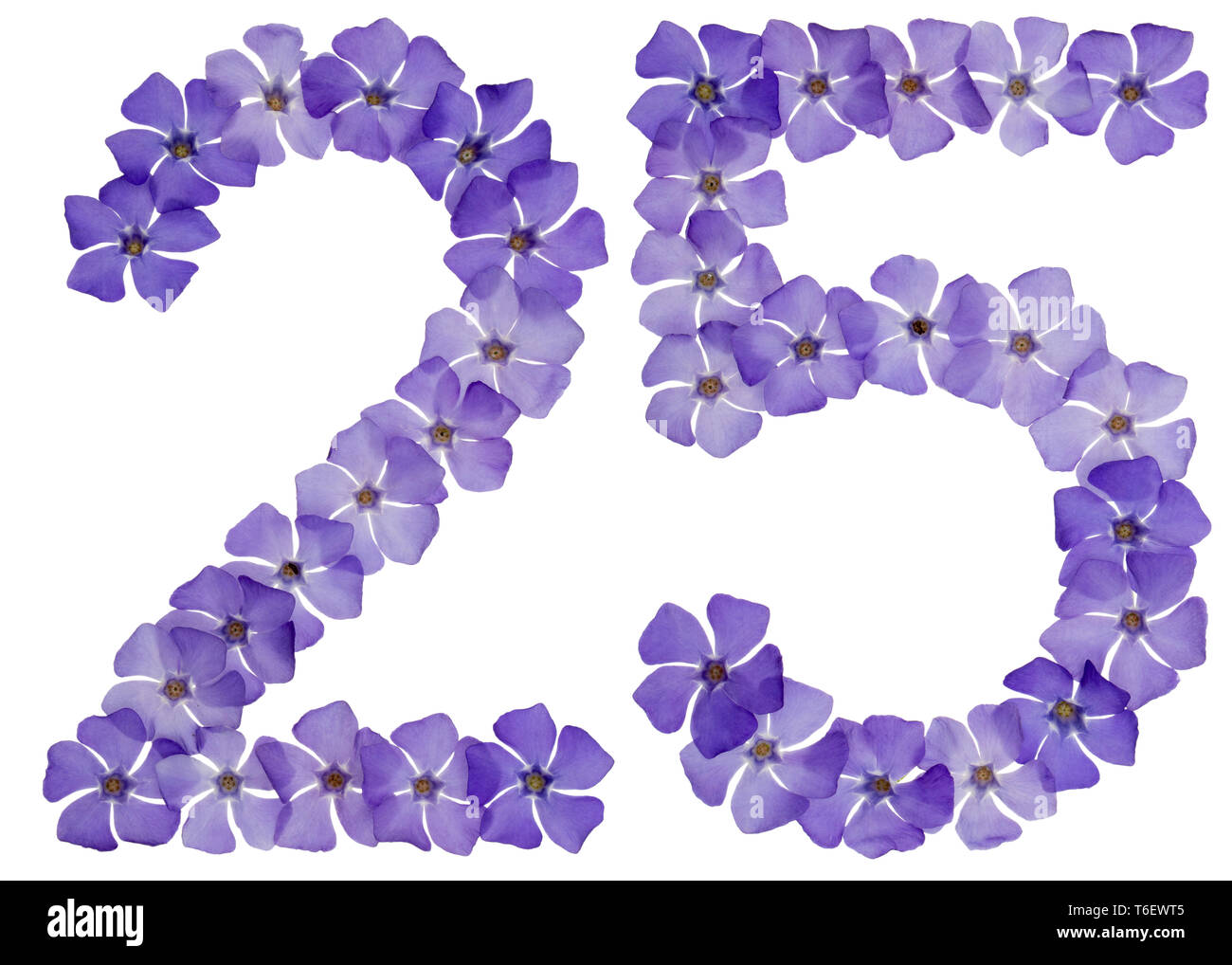 Numeral 25, twenty five, from natural blue flowers of periwinkle ...