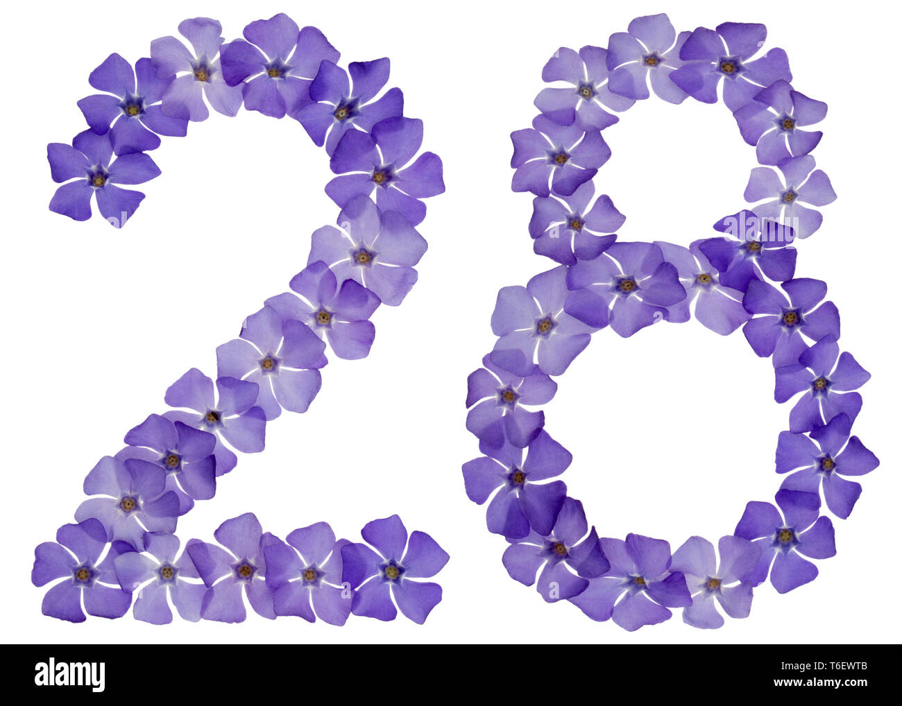 Numeral 28, twenty eight, from natural blue flowers of periwinkle ...