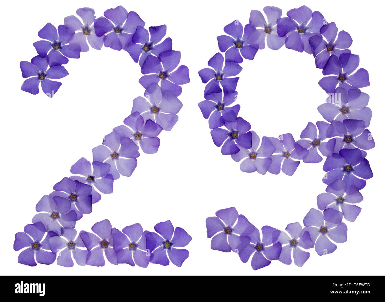 Numeral 29, twenty nine, from natural blue flowers of periwinkle ...
