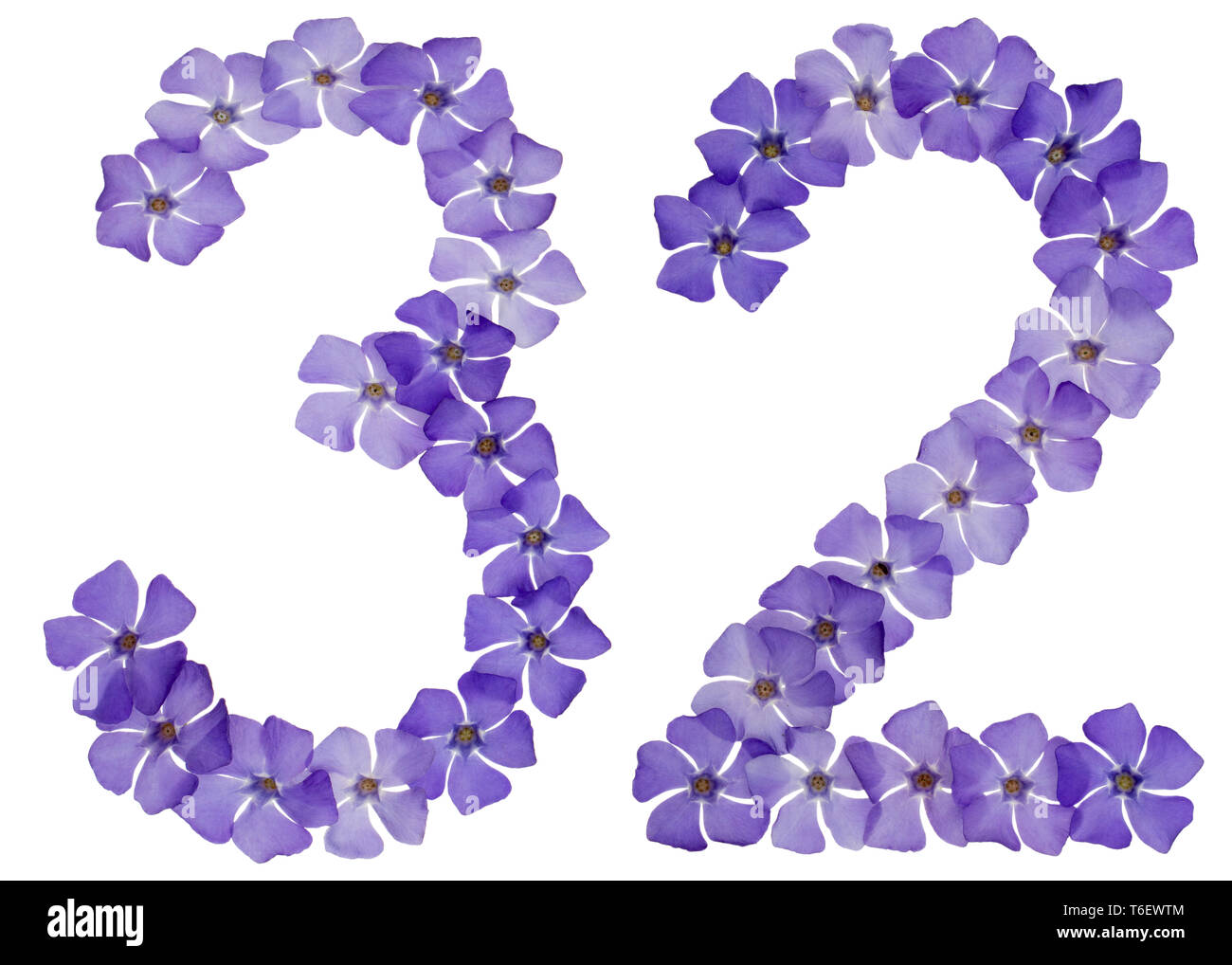 Numeral 32, thirty two, from natural blue flowers of periwinkle ...