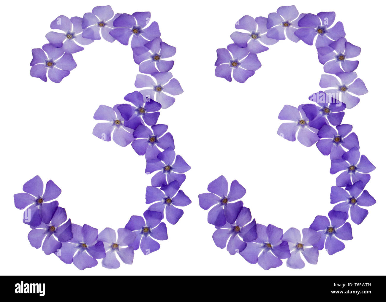 Numeral 33, thirty three, from natural blue flowers of periwinkle ...