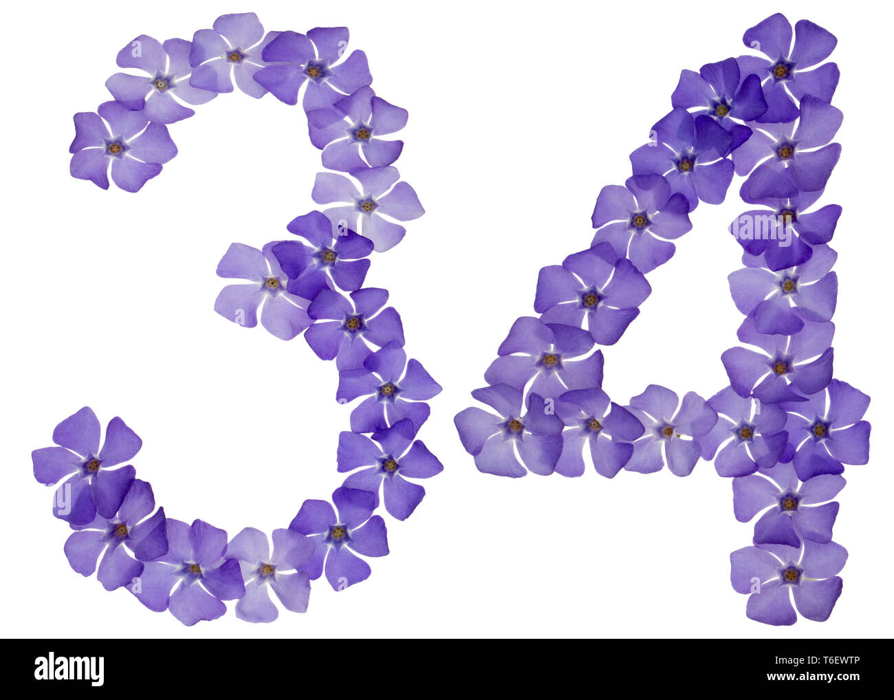 Numeral 34, thirty four, from natural blue flowers of periwinkle ...