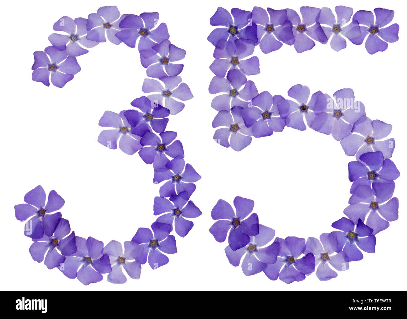 Numeral 35, thirty five, from natural blue flowers of periwinkle ...