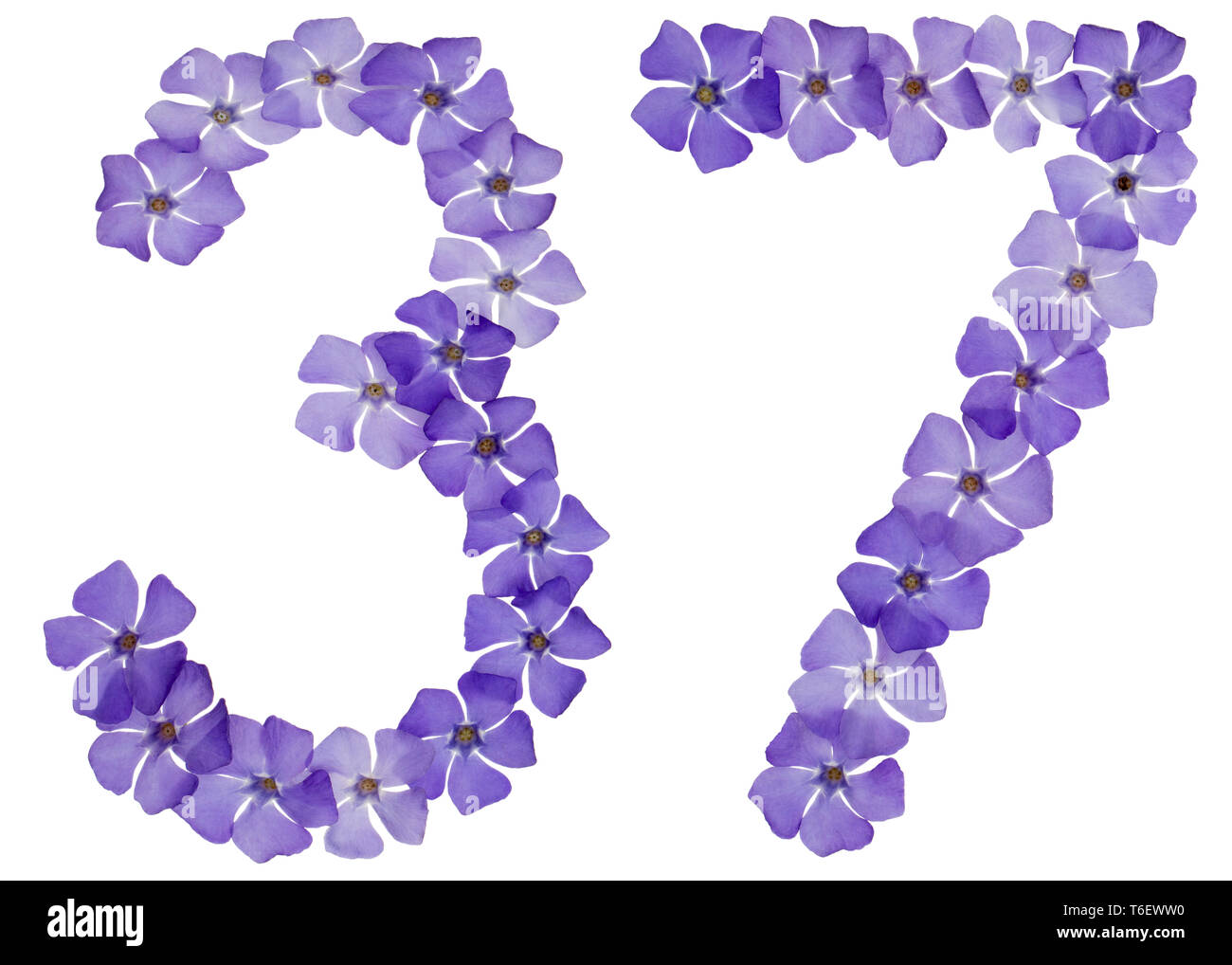 Numeral 37, thirty seven, from natural blue flowers of periwinkle ...