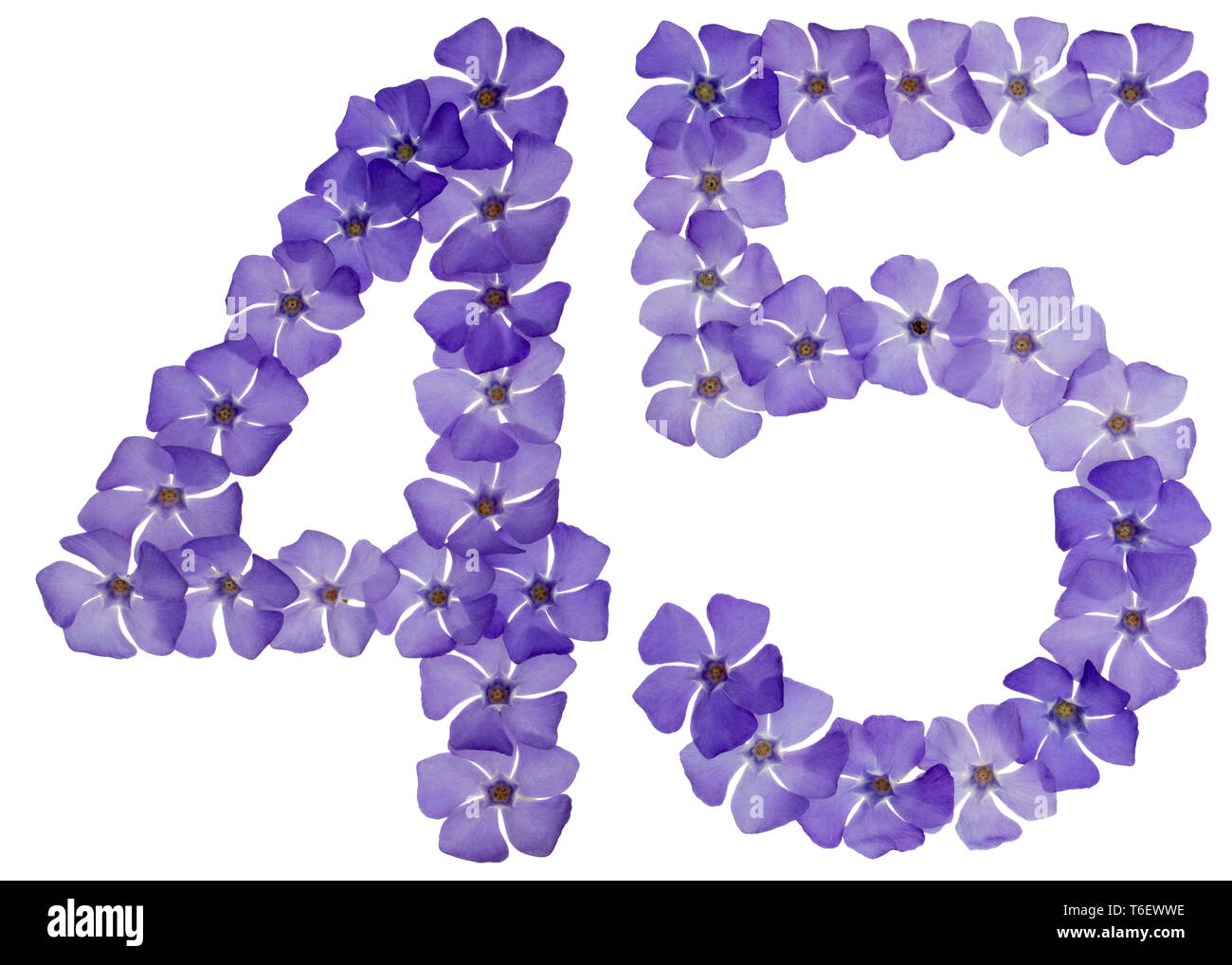 Numeral 45, forty five, from natural blue flowers of periwinkle ...