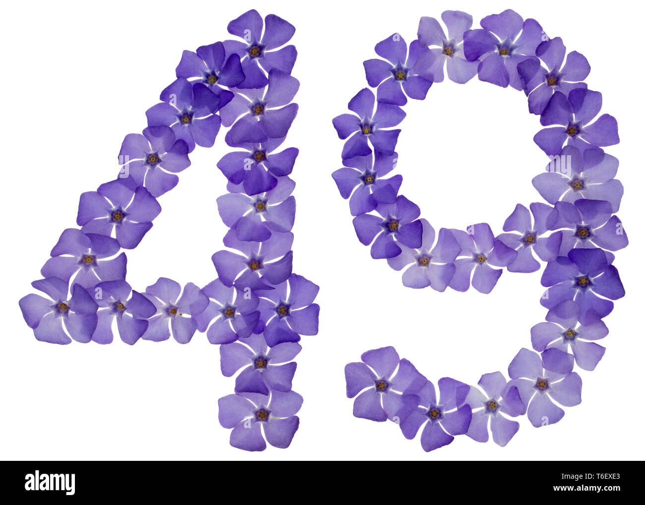 Numeral 49, forty nine, from natural blue flowers of periwinkle ...