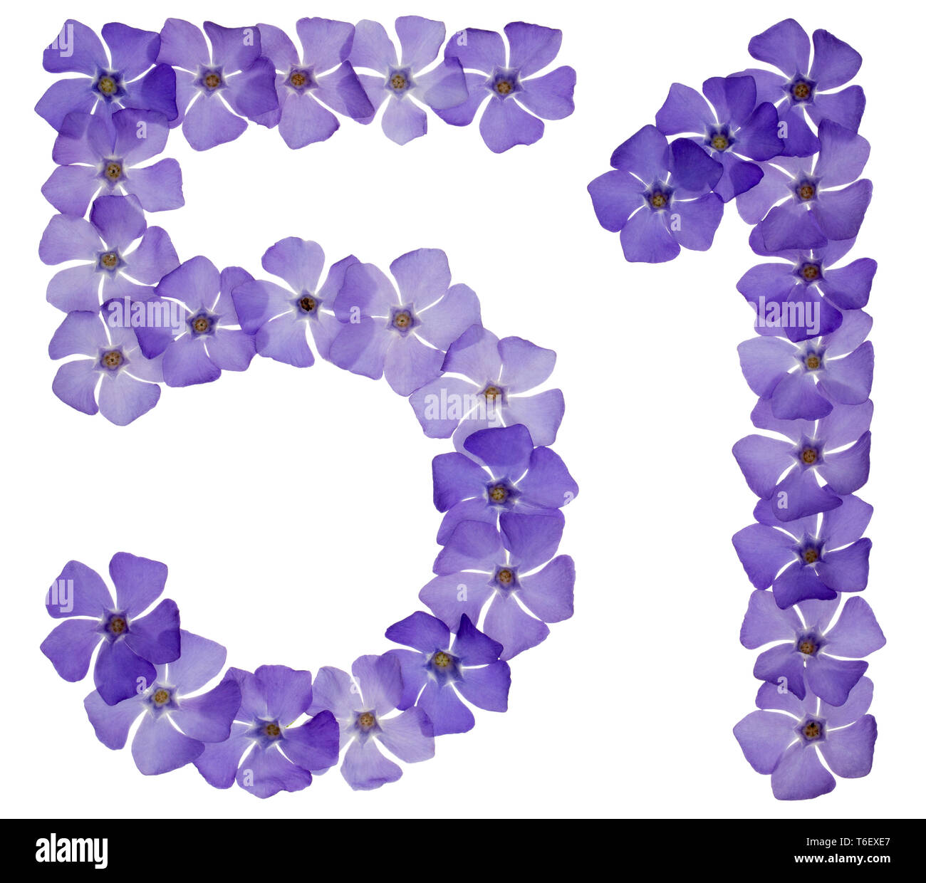 Numeral 51, fifty one, from natural blue flowers of periwinkle ...