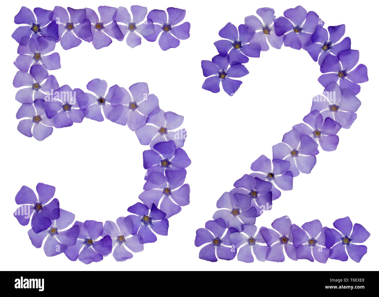 Numeral 52, fifty two, from natural blue flowers of periwinkle ...