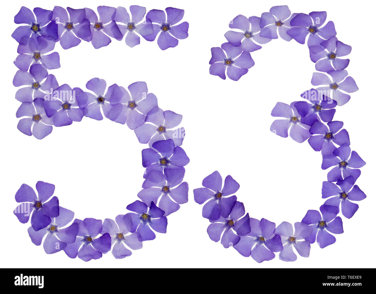 Numeral 53, fifty three, from natural blue flowers of periwinkle ...