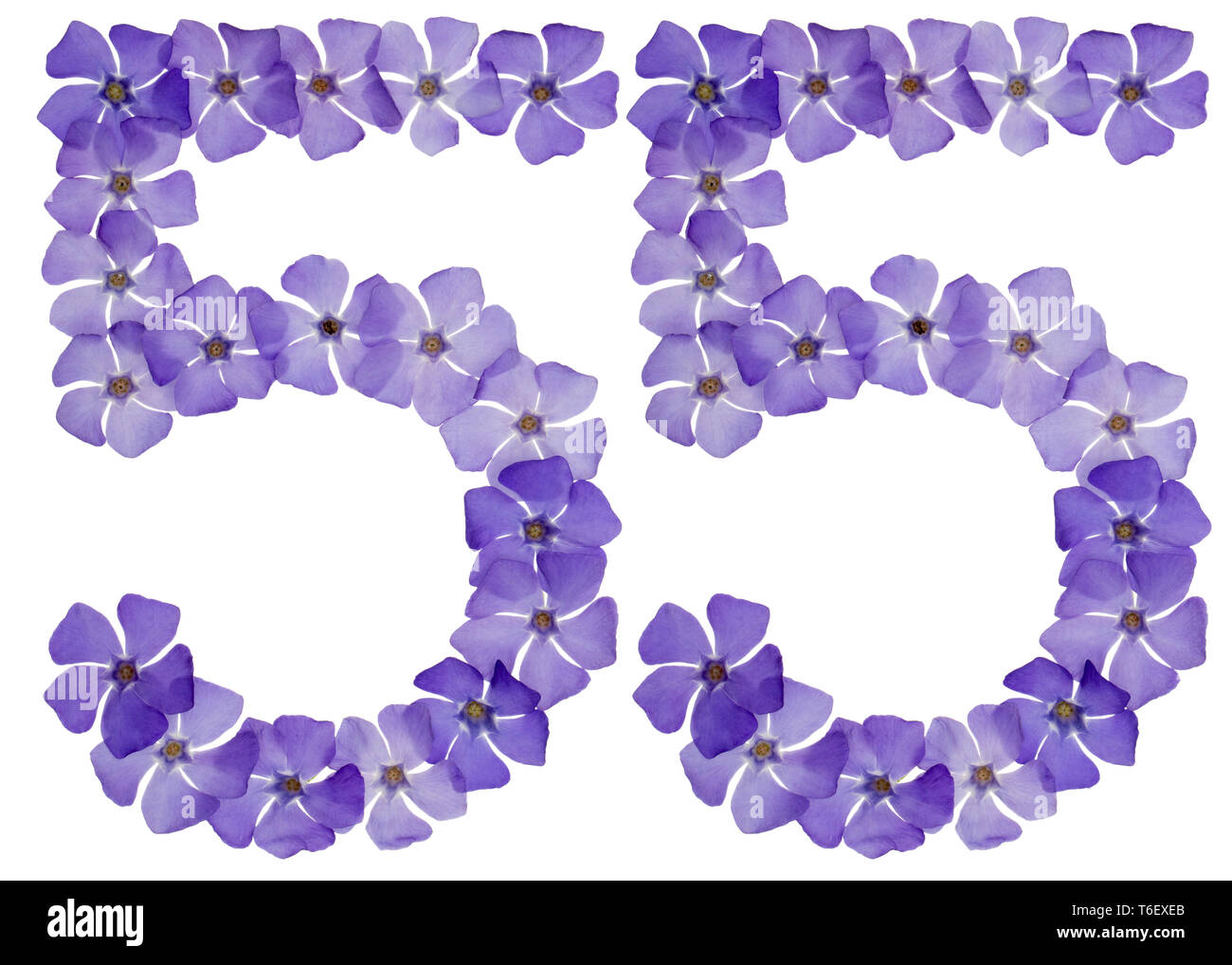 Numeral 55, fifty five, from natural blue flowers of periwinkle ...