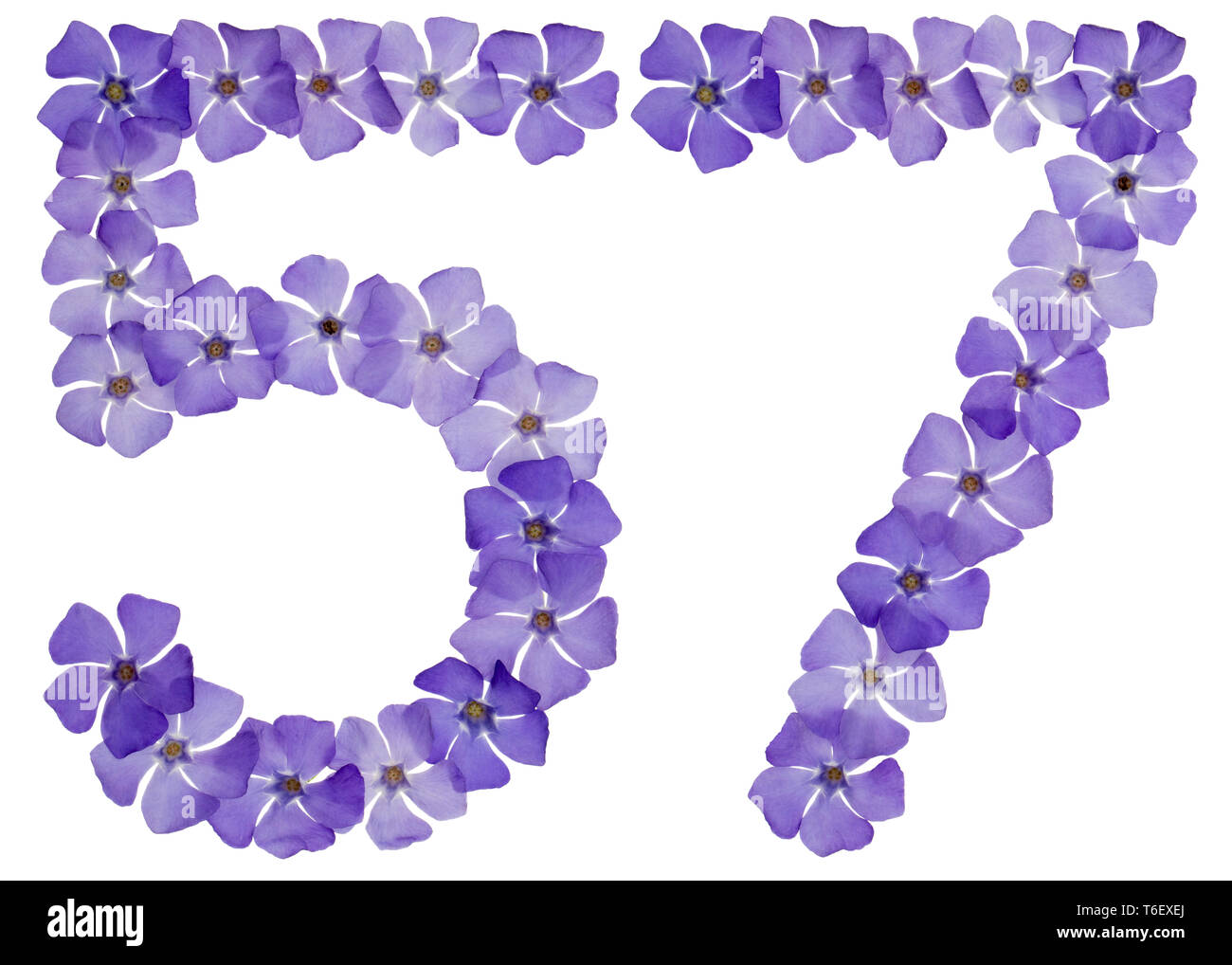 Numeral 57, fifty seven, from natural blue flowers of periwinkle ...