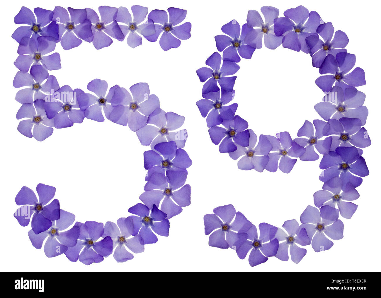Numeral 59, fifty nine, from natural blue flowers of periwinkle ...
