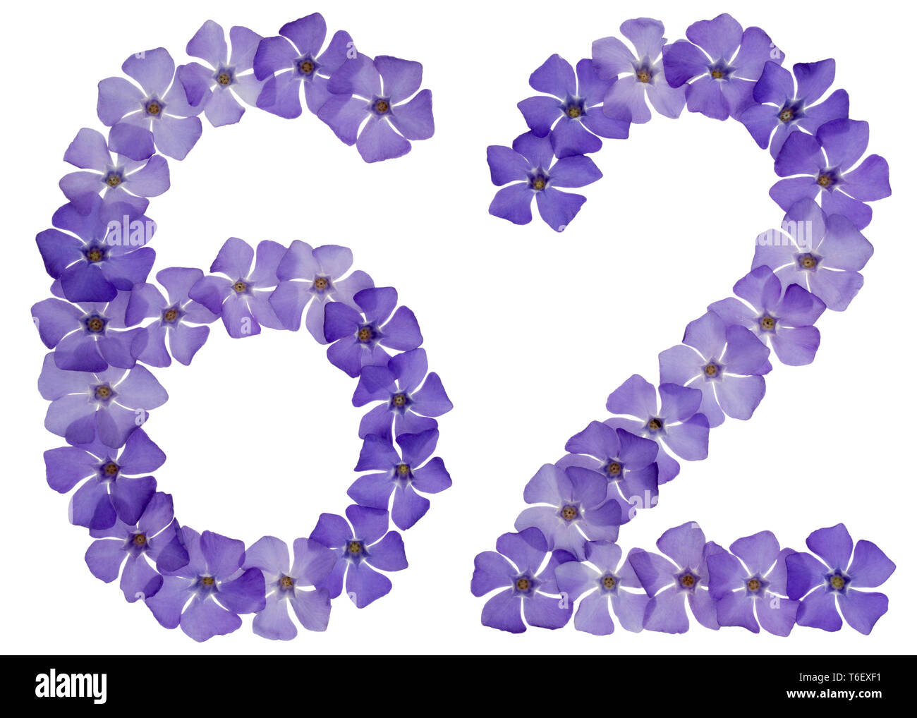 Numeral 62, sixty two, from natural blue flowers of periwinkle ...