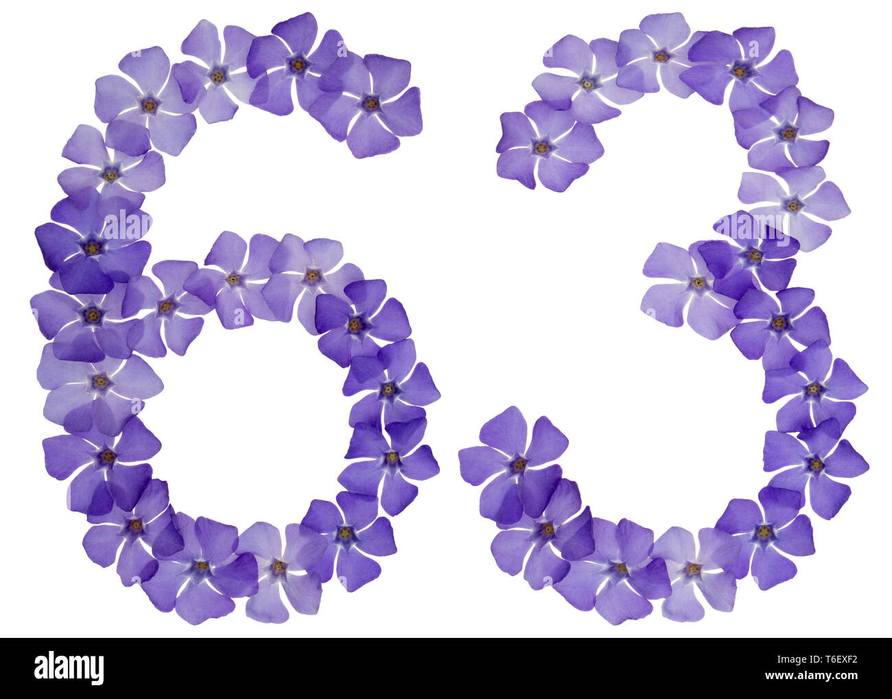 Numeral 63, sixty three, from natural blue flowers of periwinkle ...