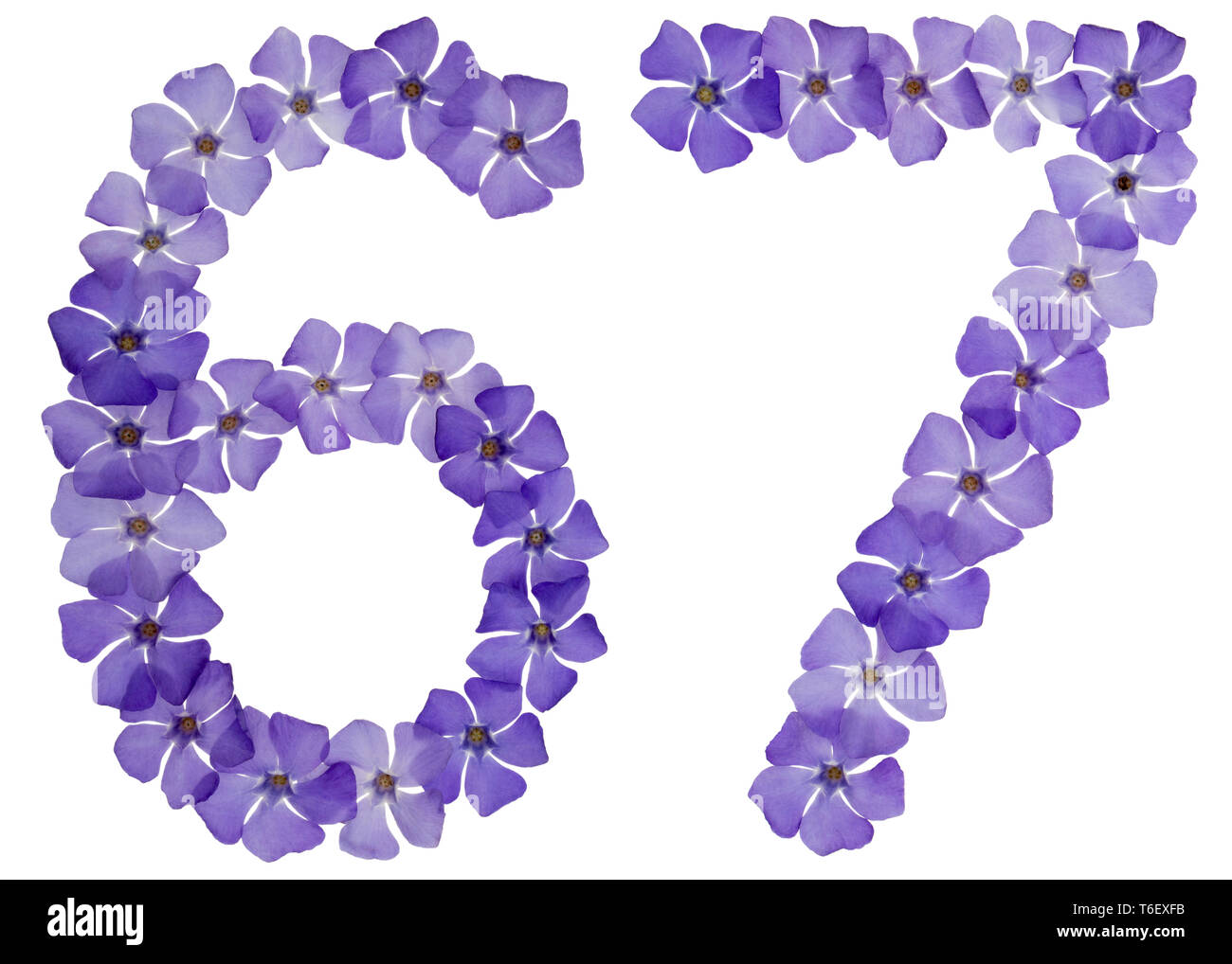 Numeral 67, sixty seven, from natural blue flowers of periwinkle ...