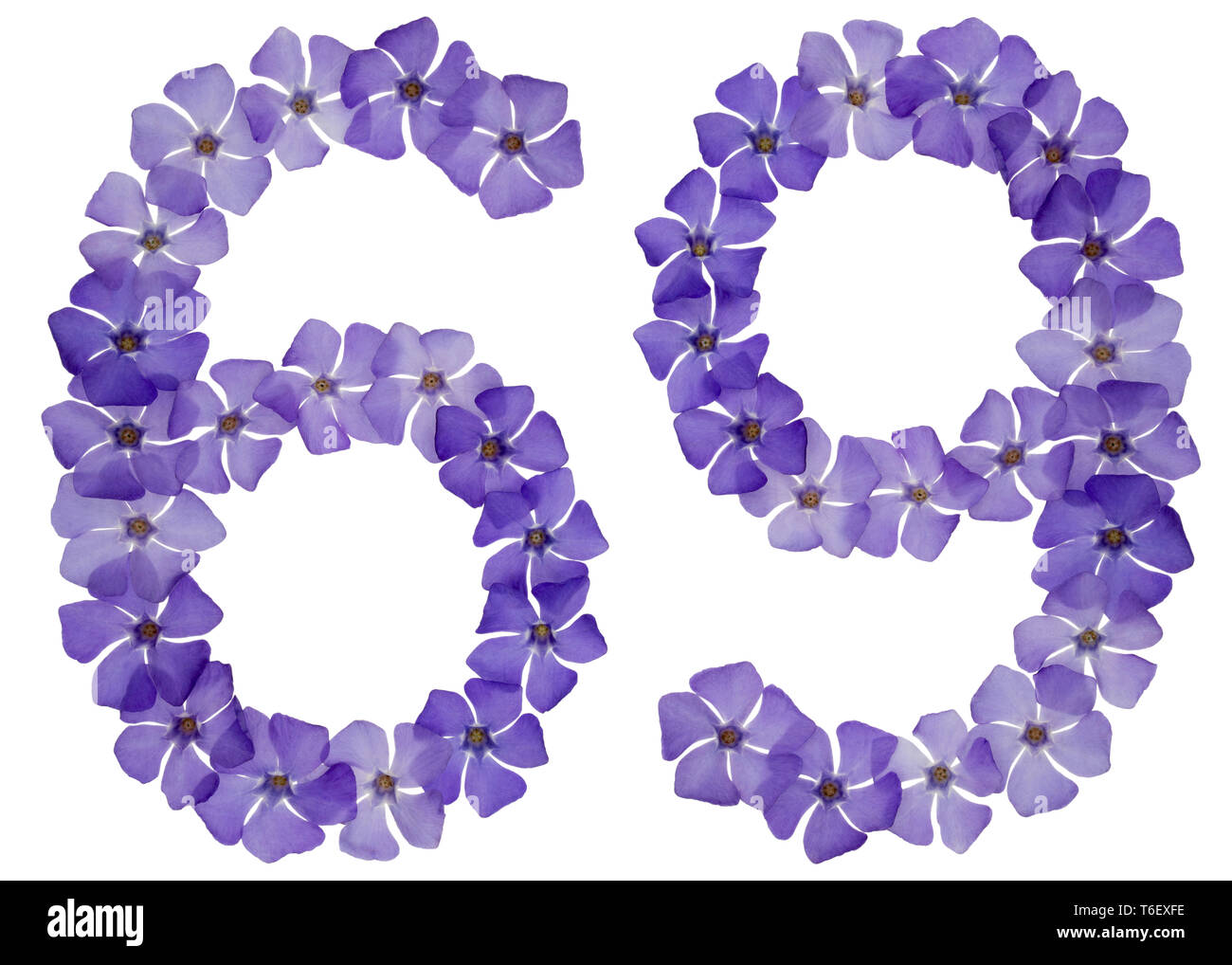 Numeral 69, sixty nine, from natural blue flowers of periwinkle ...