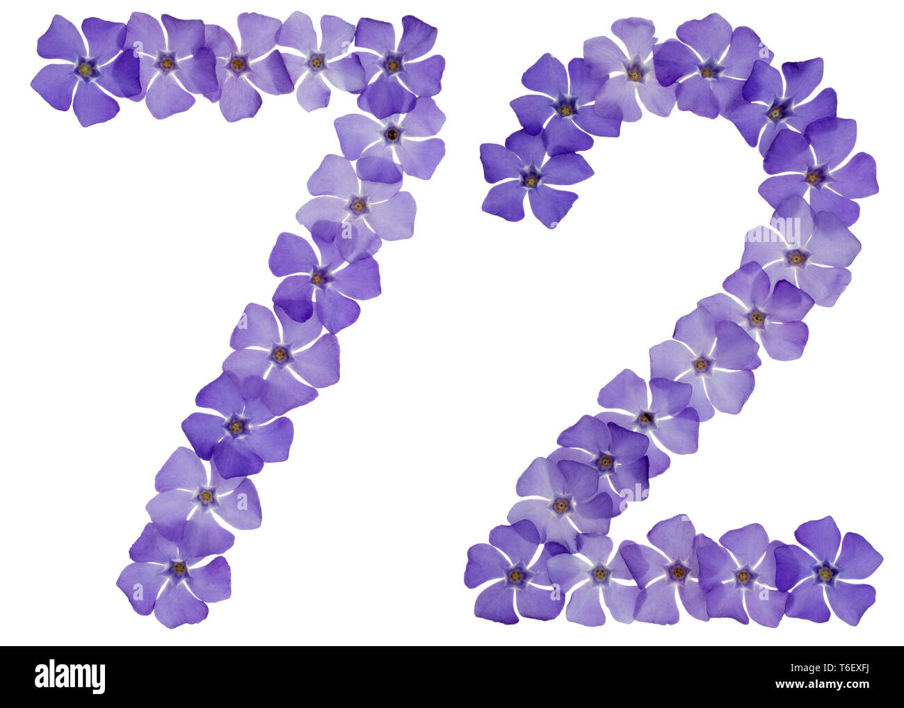 Numeral 72, seventy two, from natural blue flowers of periwinkle ...