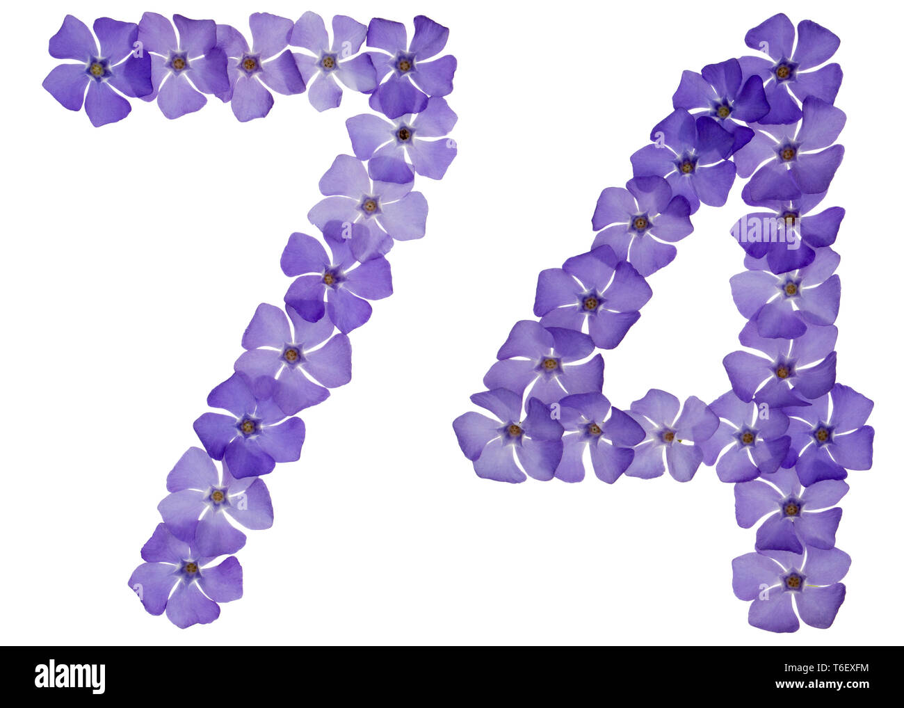 Numeral 74, seventy four, from natural blue flowers of periwinkle ...
