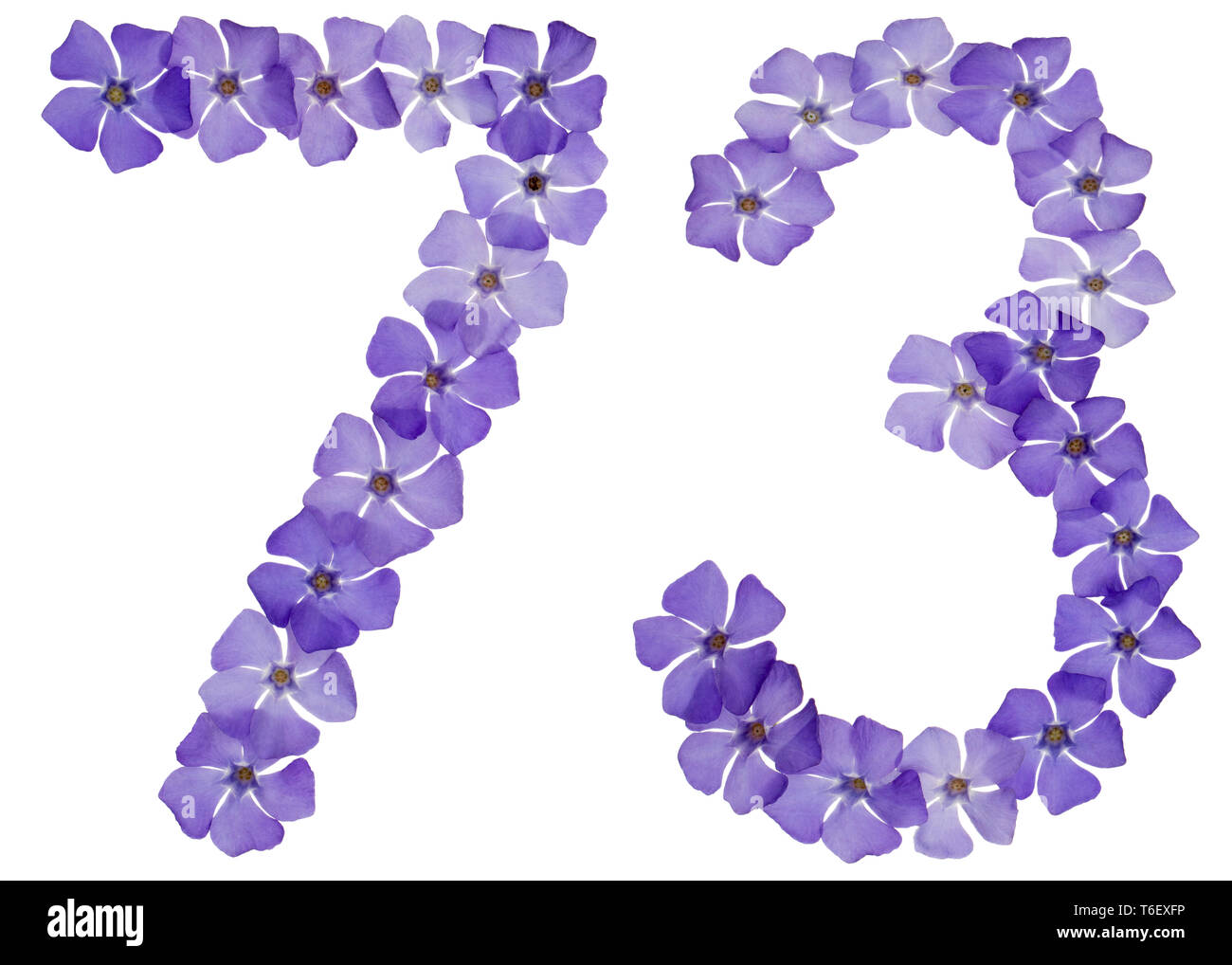 Numeral 73, seventy three, from natural blue flowers of periwinkle ...