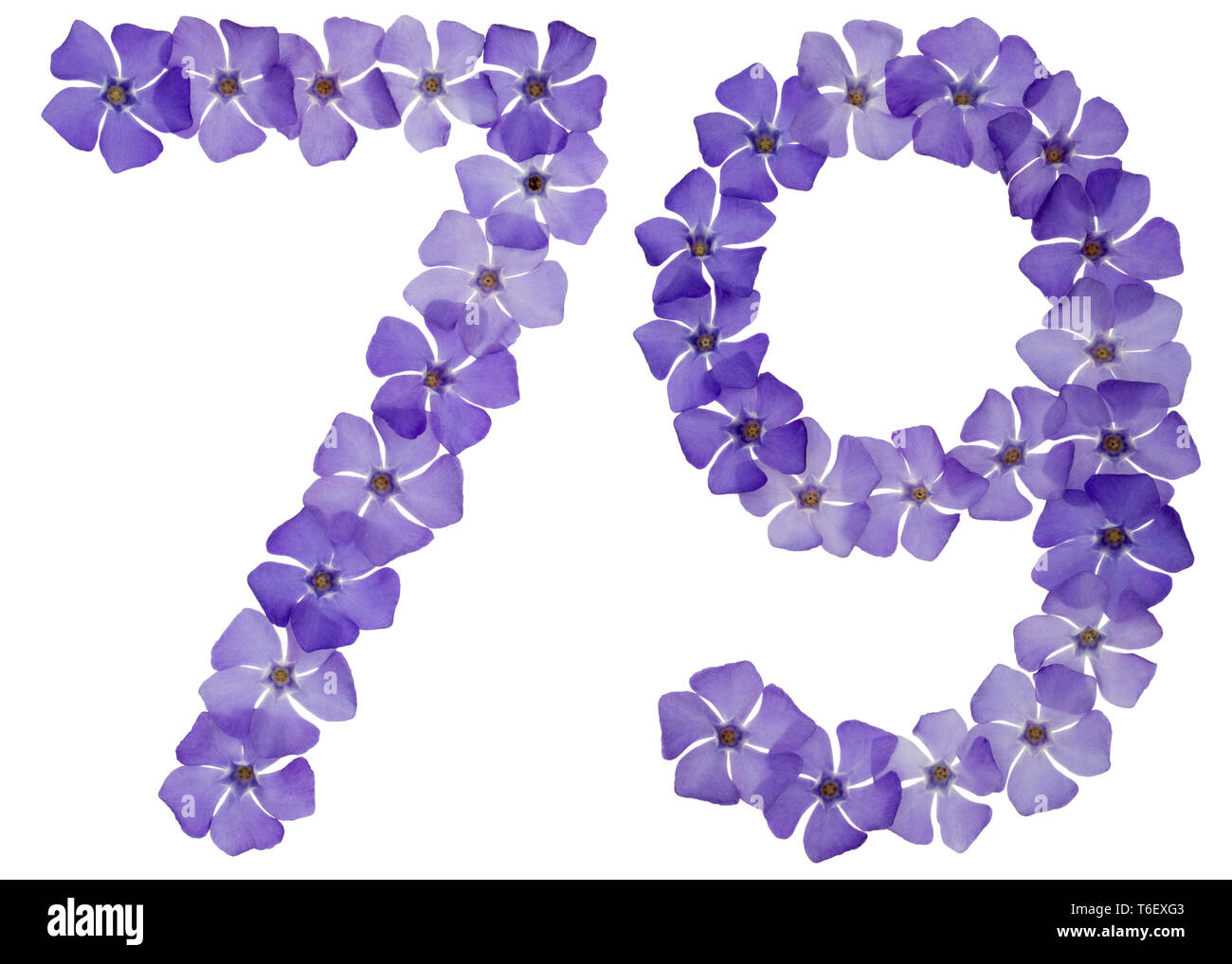 Numeral 79, seventy nine, from natural blue flowers of periwinkle ...