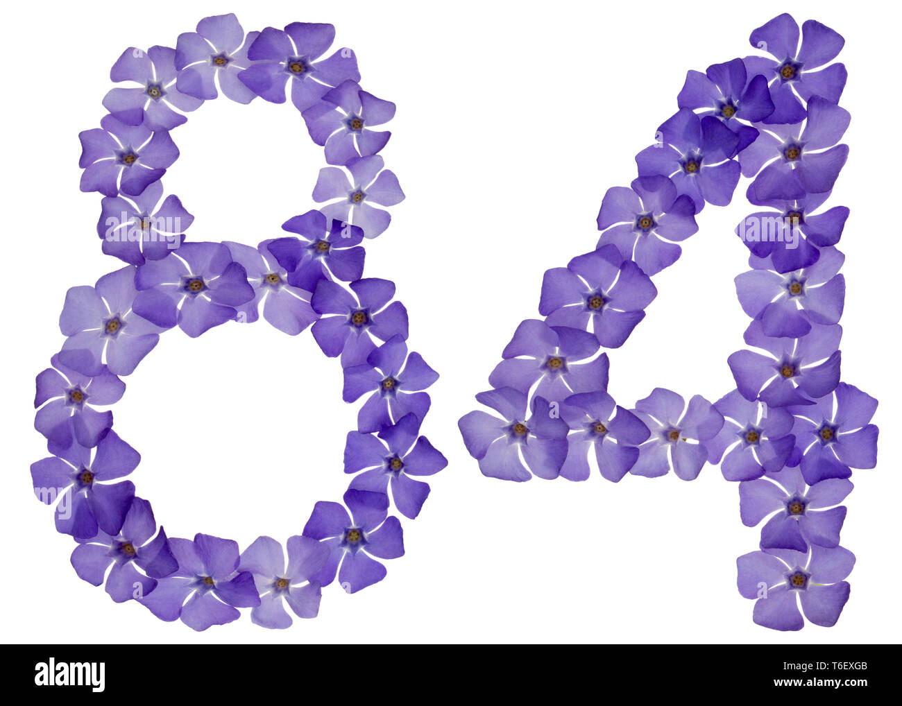 Numeral 84, eighty four, from natural blue flowers of periwinkle ...